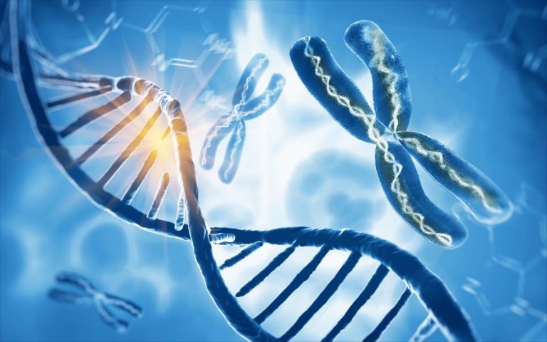 Χαρτογραφήθηκε το 100% του ανθρώπινου DNA